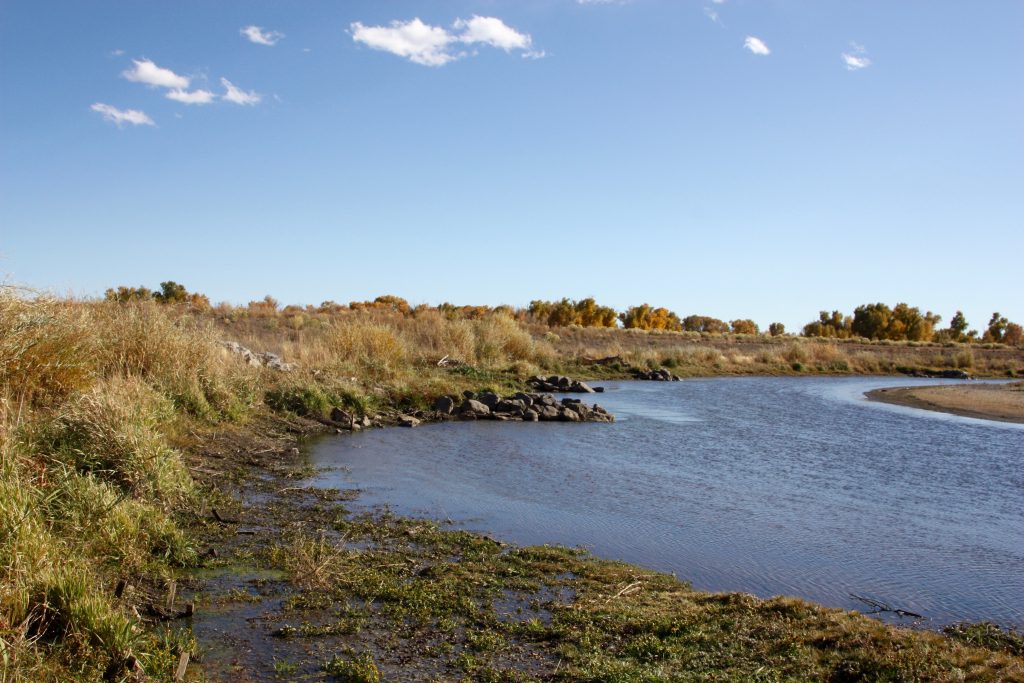 2008 Rio Grande Riparian Stabilization Project - Rio Grande Basin ...